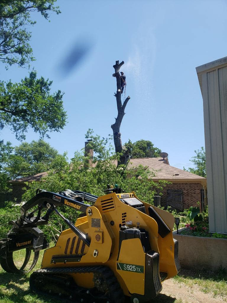Professional Tree Services Company in Grapevine Dallas TX